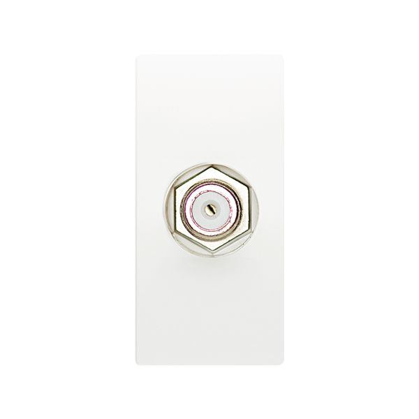 Toma coaxial TV con conector roscado, blanco. N1150-BL Estevez